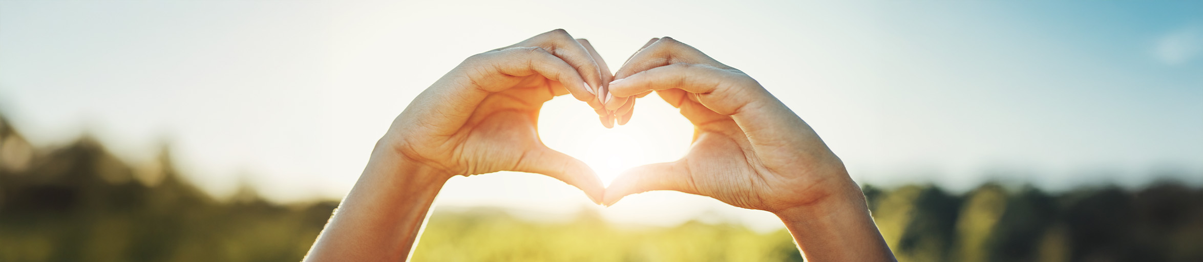 Ethics - Linea Verde CSR